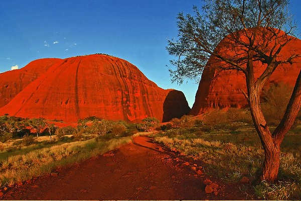 Kata Tjuta (The Olgas), Northern Territory